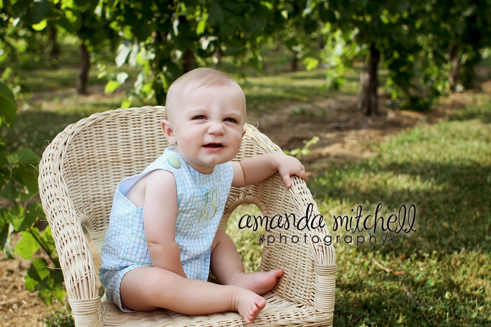 Amanda Mitchell Photography