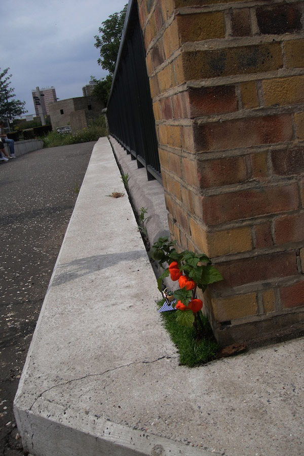 GALLERY O: THE POTHOLE GARDENS OF STEVEN WHEEN