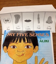 Little Miss Hypothesis - Lessons from the Science Lab: More My Five Senses!