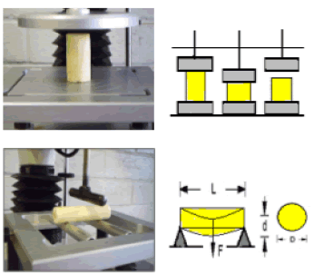 Matemáticas CEUJA 2015