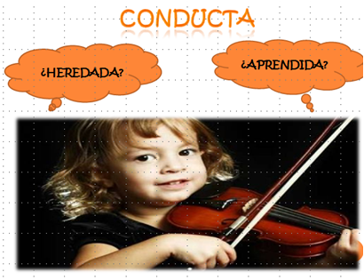 Lo Heredado y Aprendido De La Conducta.
