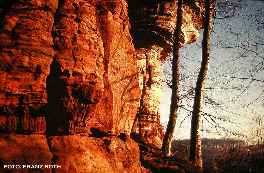 Irmgard & Franz Roth Media Productions: Februar 2017