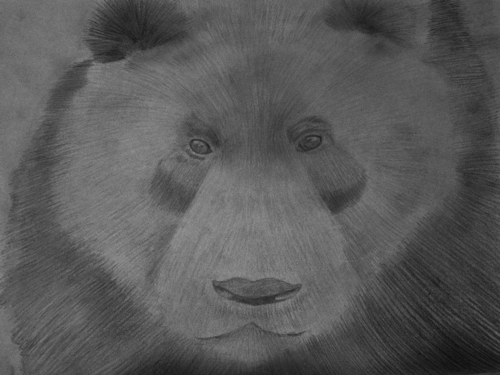Art-ex Golden: Endangered Animal Drawings
