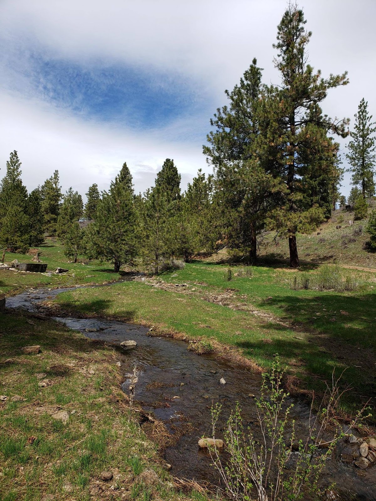 Fagin's Weather World - Hike Washington: Fagin's Hike of the Week ...