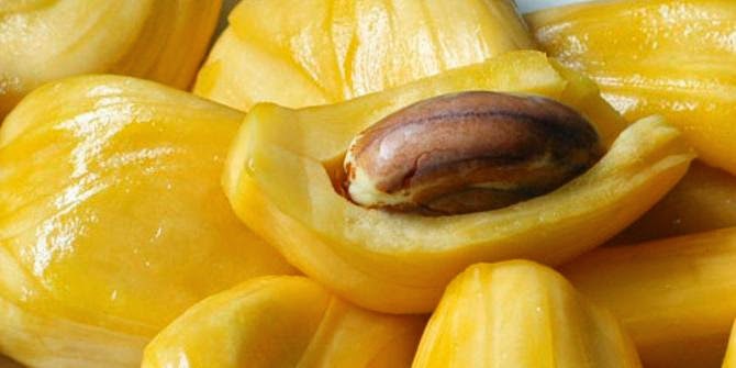7 Manfaat Buah Nangka Untuk Kesehatan - Terapi Sehat : Info Kesehatan ...