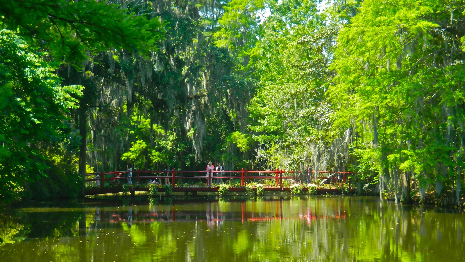 The Traveling Gardener: National Public Gardens Day at Magnolia Plantation