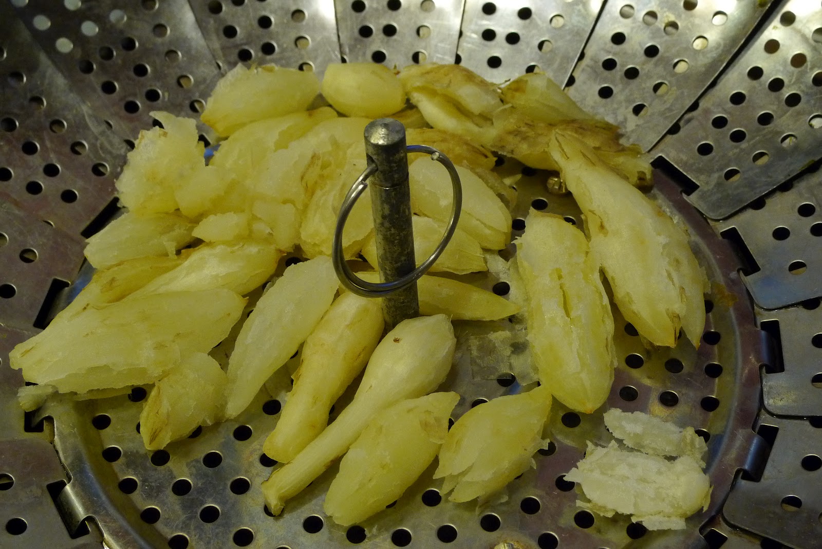 Wild Harvests: Yampa, more than a taste