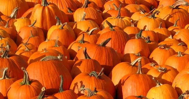 Pumpkin pudding ★ Soviet Cooking