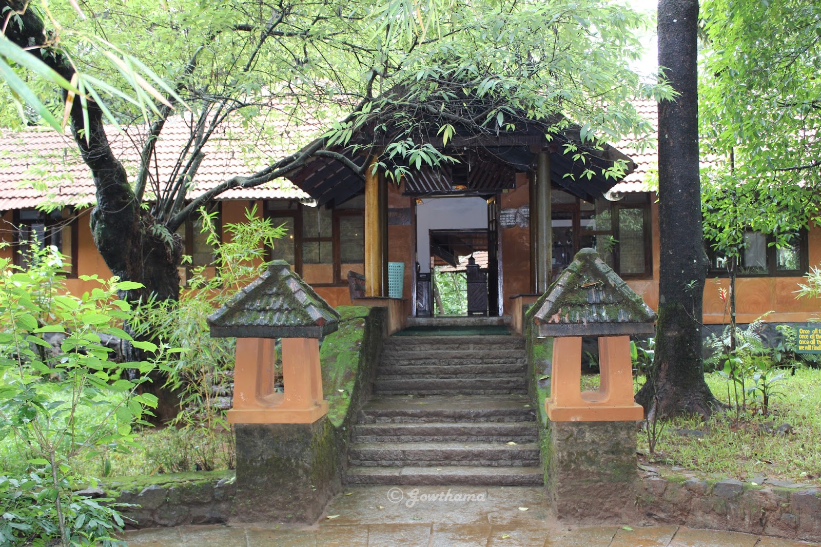 Entering Nature's Homeground - Vythiri Resort, Wayanad, Kerala - Creatikaa