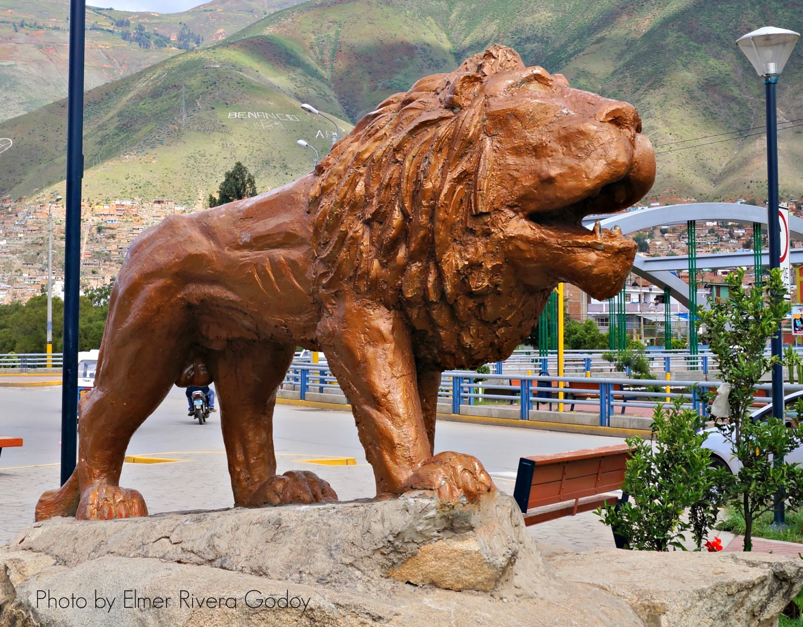 HUÁNUCO FOTOS: León de Huánuco