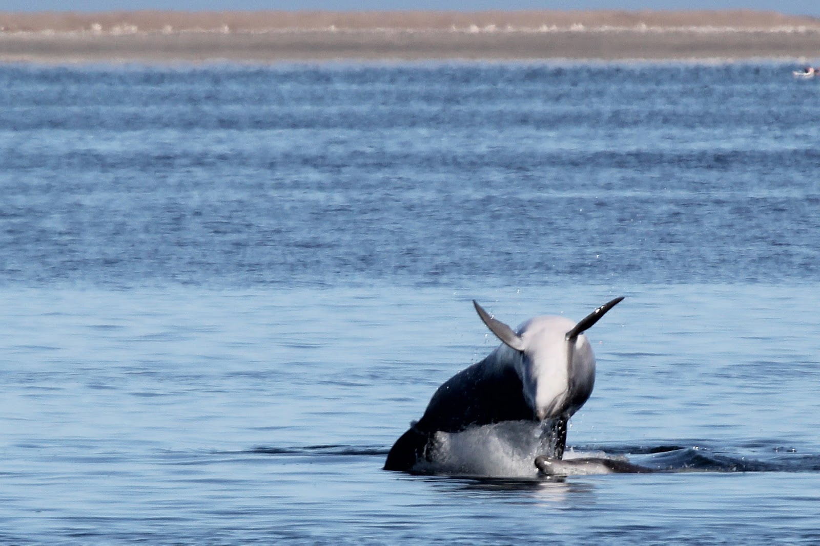 Away From Four Marks: 11th - 13th August - Swakopmund & Walvis Bay ...