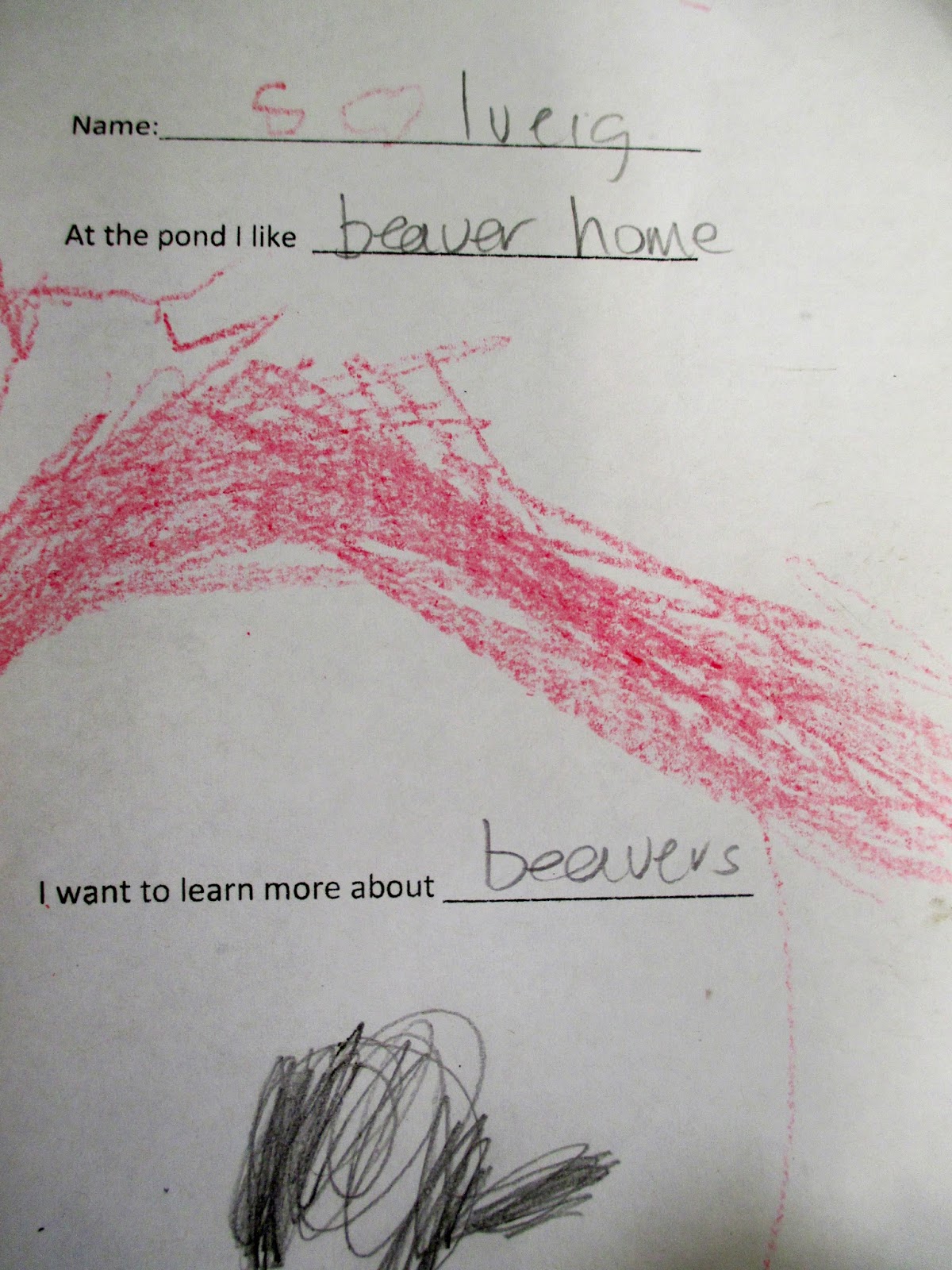 StrongStart: Pond Study 2016