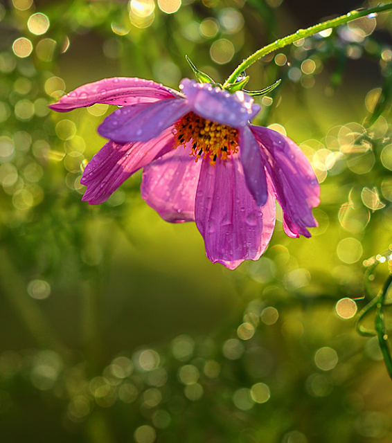 Beautiful World : Collection of cool & funny pics