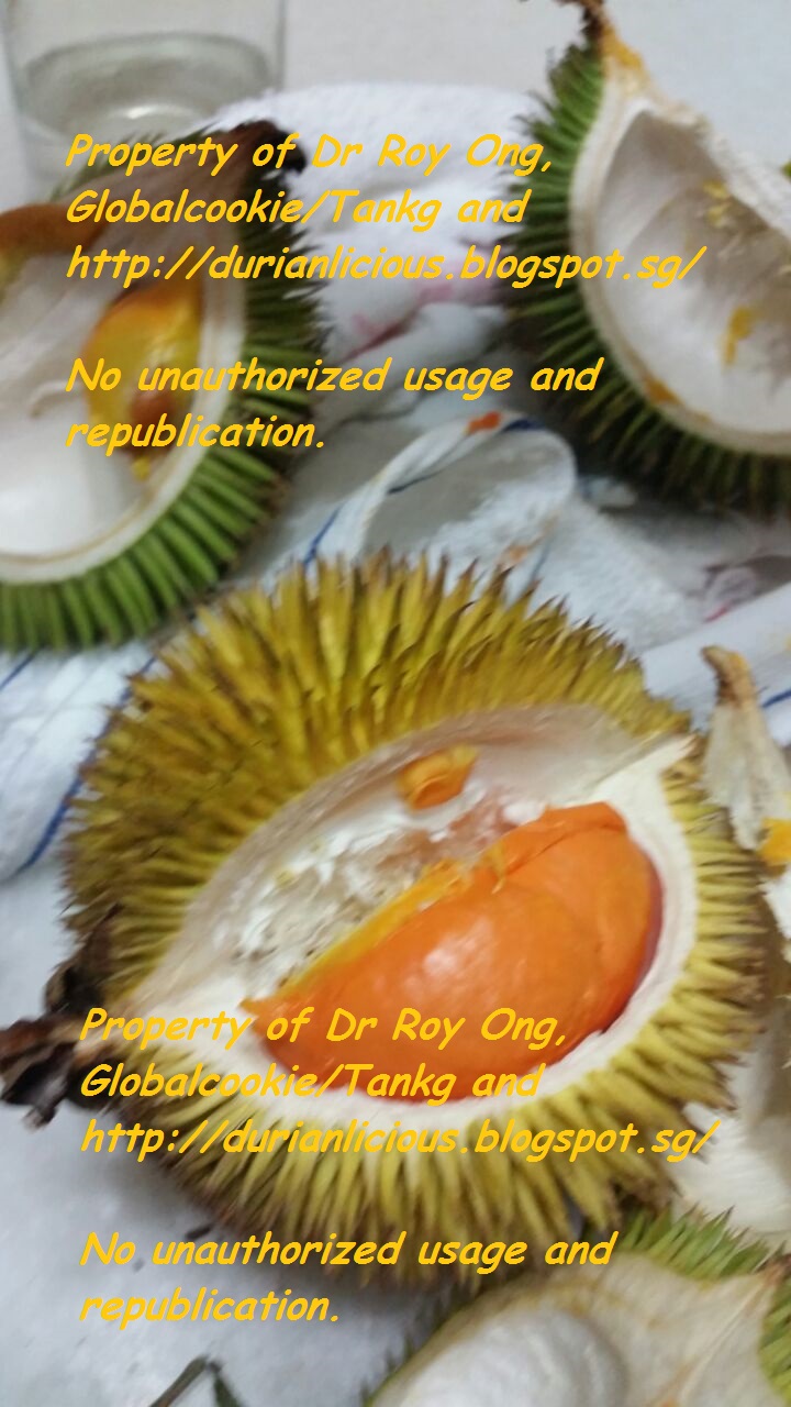 Durianlicious: Red Durian - Myth or Mystery?
