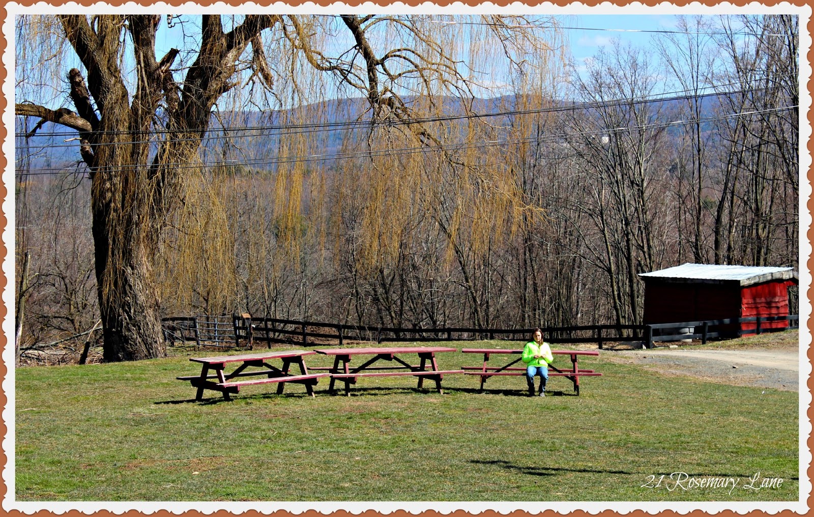 21 Rosemary Lane: Our Dude Ranch Getaway