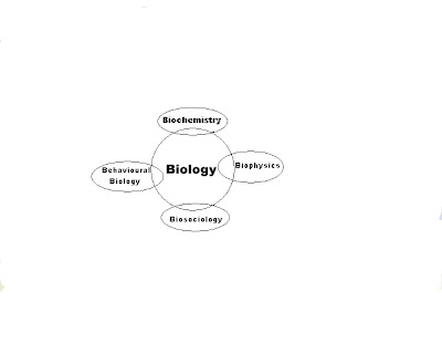 BIO SCIENCE: Biology and other branches of science.