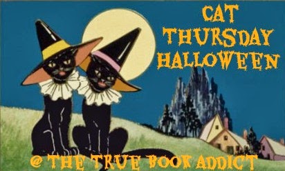 True Book Addict...Books, Cats, and More: Cat Thursday Halloween...it's ...