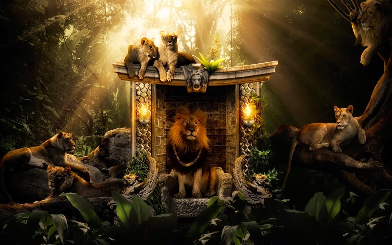 Rey Leon - Lion King - Fondos de Pantalla HD - Wallpapers HD