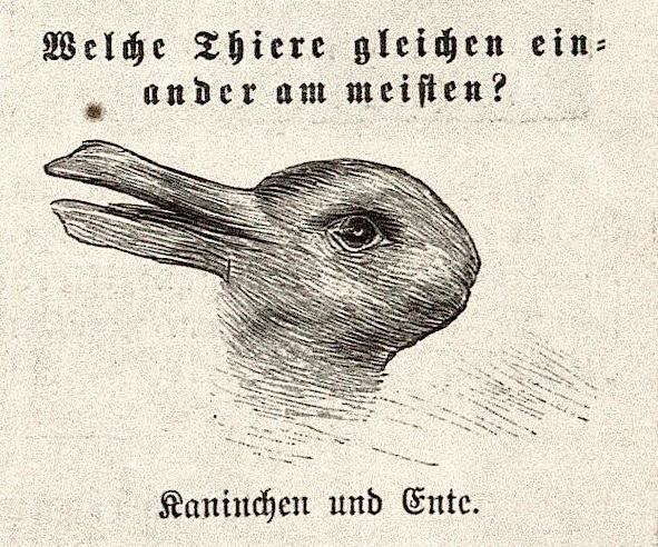 Earth and Space News: Ambiguous Duck Rabbit Figure Shifts Visual ...
