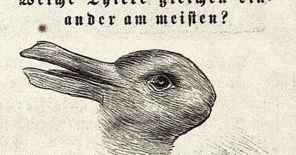 Earth and Space News: Ambiguous Duck Rabbit Figure Shifts Visual ...