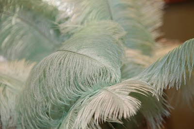 Scrapbook: Mint Condition