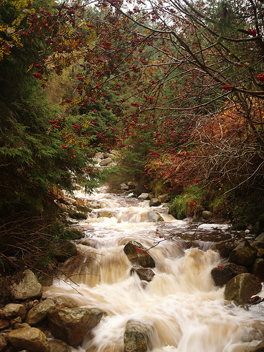 What to do on a Rainy Day - Rostrevor Holidays