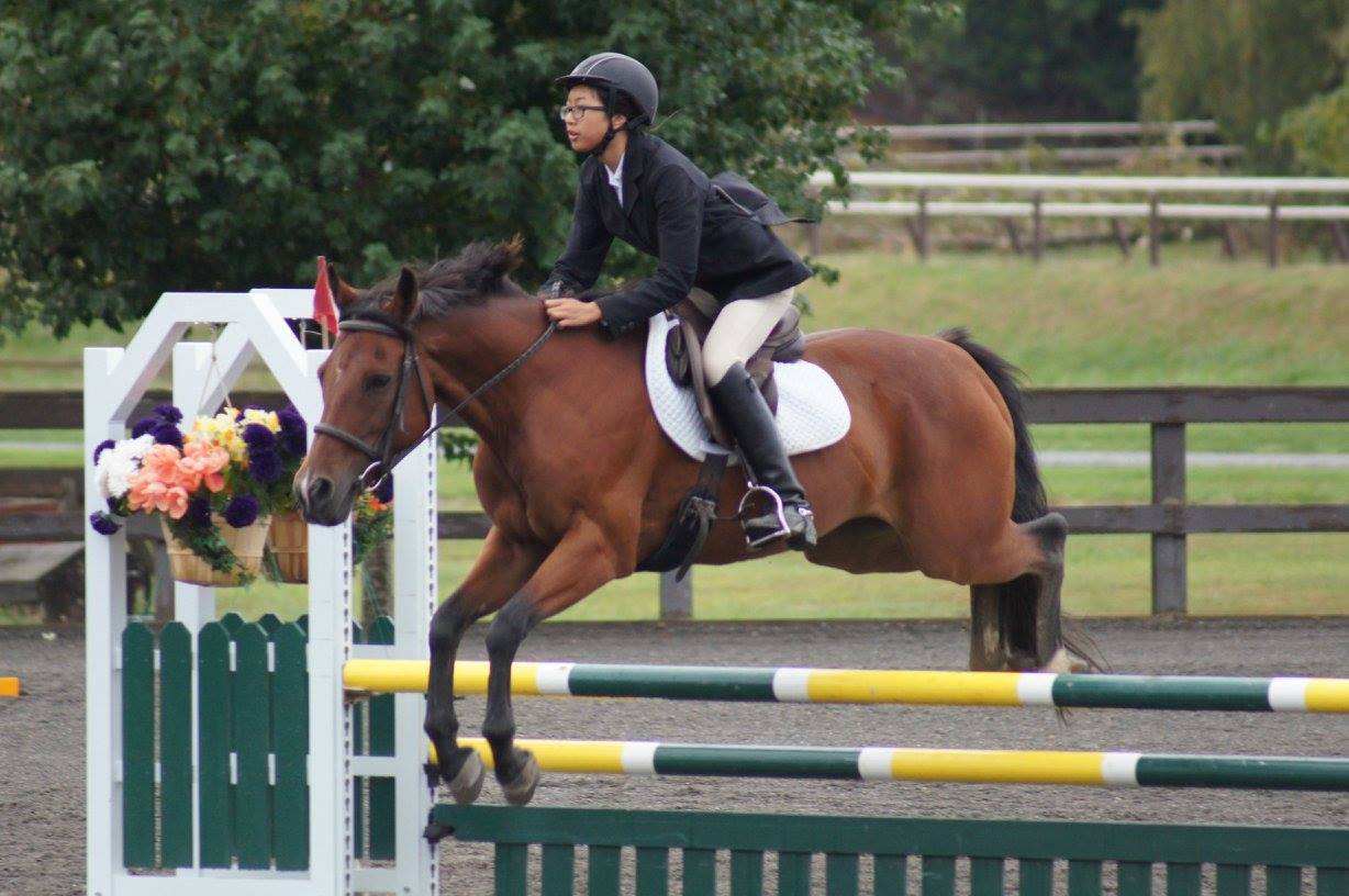 Wise Horsemanship at Freedom Farm: Barefoot Success at Horse Shows, 2015