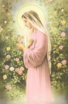 SIMBOLOGÍAS: Notas para una Simbología de la Rosa