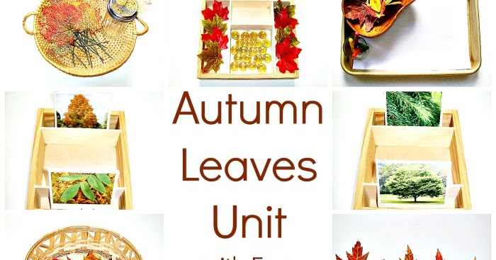 Autumn Leaves Unit with Free Printables - Every Star Is Different