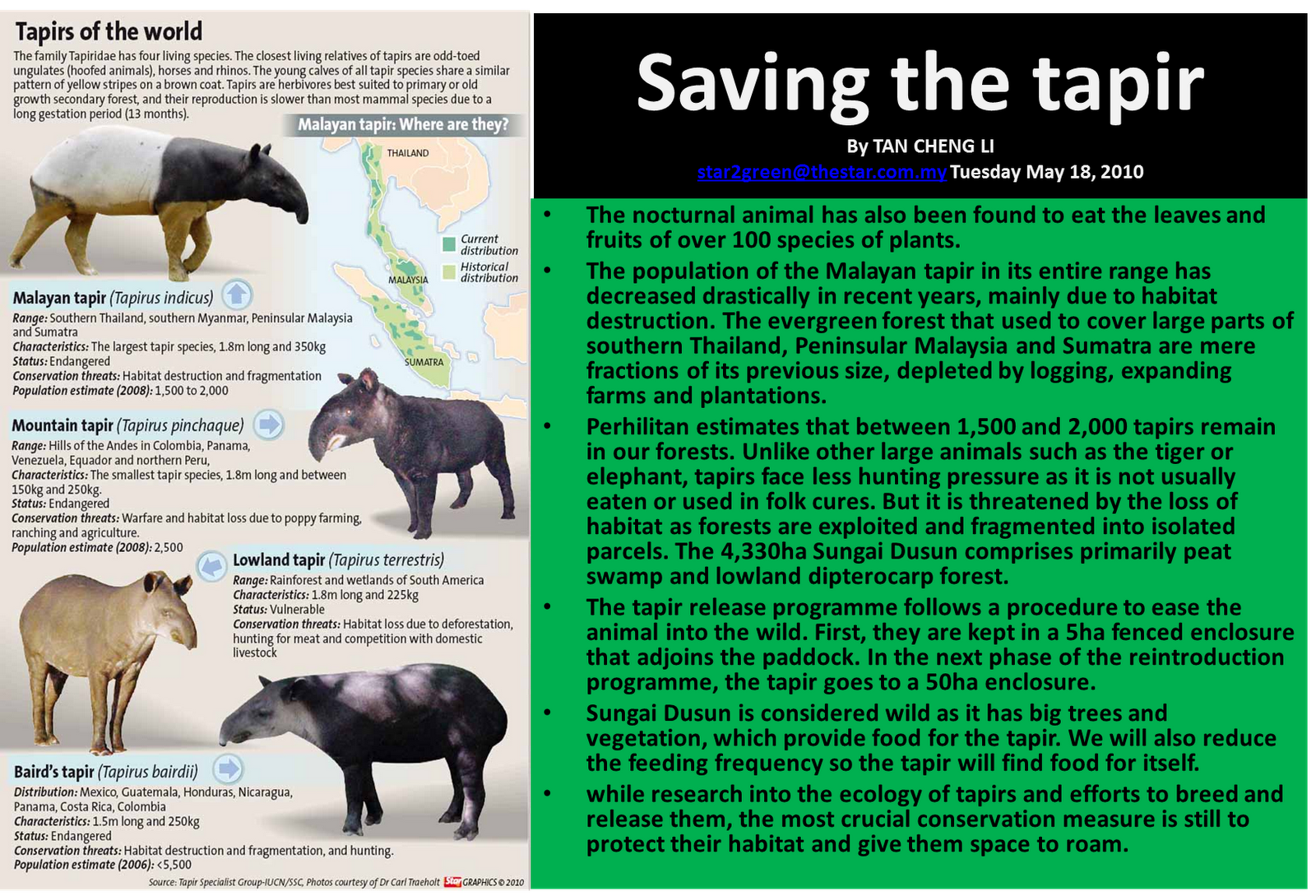 Dr Mat: Save Tapir Before its TOO late! More research and habitat ...