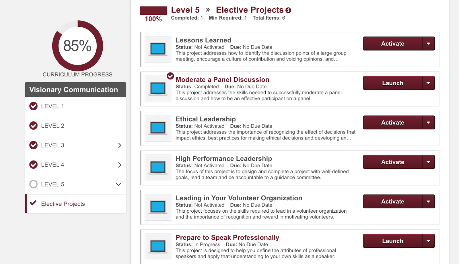 Pathways experience: Level 5 Elective Projects (chose of 1) in ...