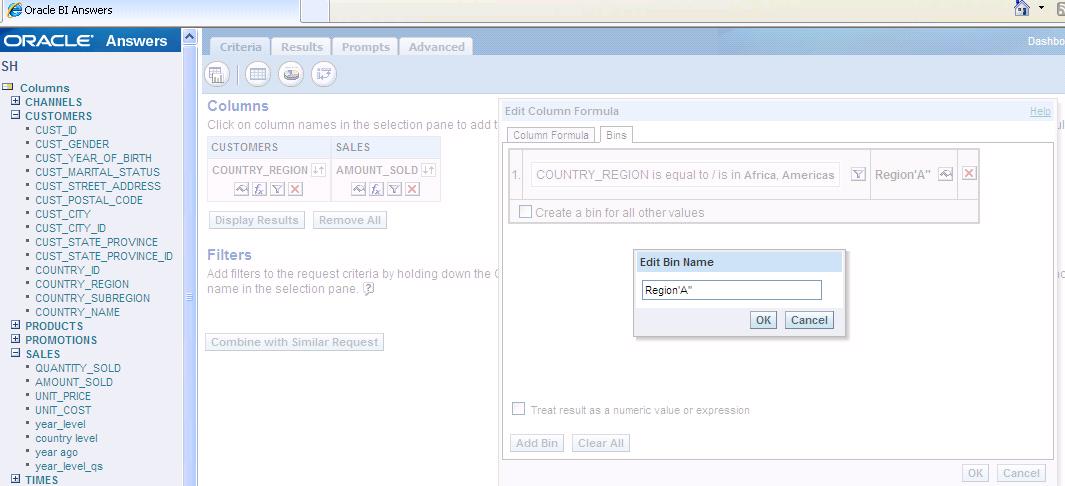 OBIEE: what is the use of Bins in obiee