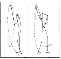 Biomechanics Cricket