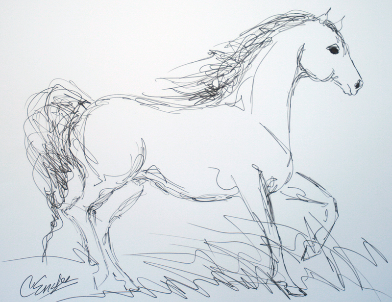 Carol Engles Art: Morgan Horse, gestural drawing in ink, by Carol Engles