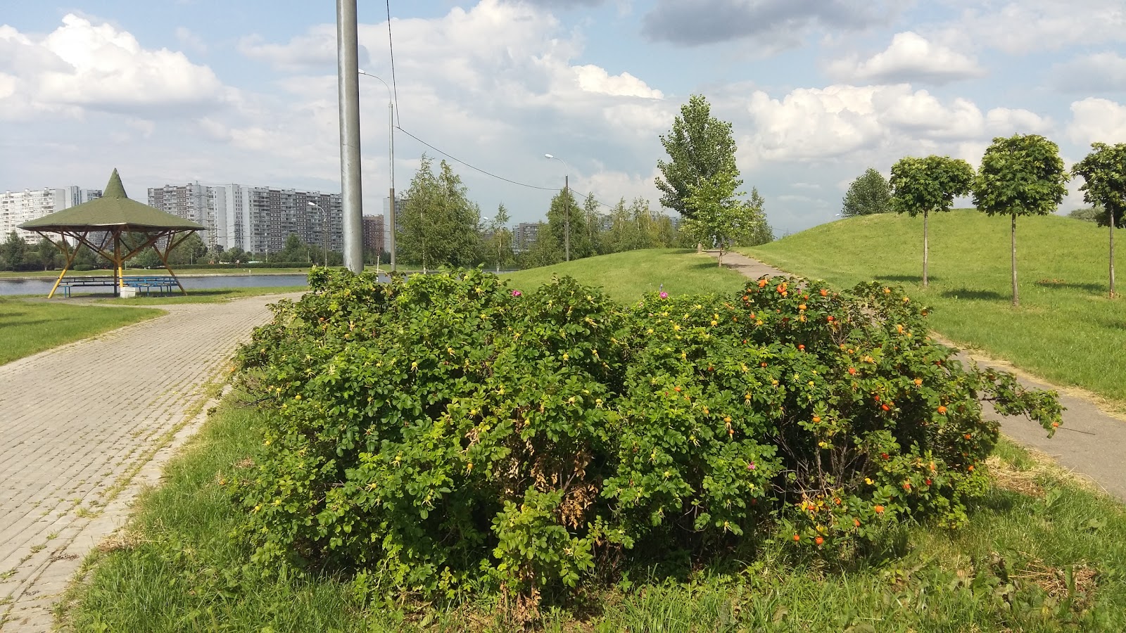 All About Travel: Nature & Parks in Moscow.