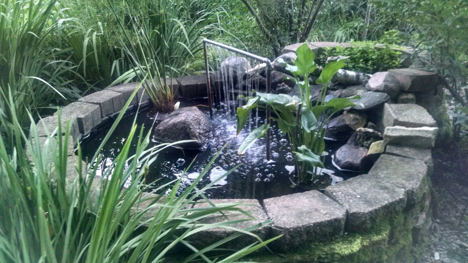 Falling and Rising Again : The Art of Blessing the Day - Marge Piercy