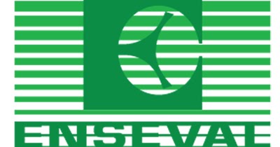 PT. ENSEVAL PUTRA MEGATRADING, Tbk | lokerpalembang23.blogspot.com