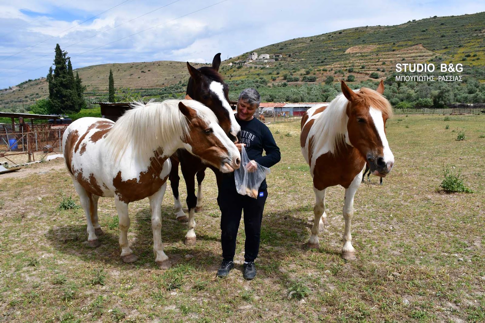 Αργολικός Ποιμήν: ΑΡΓΟΛΙΔΑ- ΦΑΡΜΑ ΑΛΟΓΩΝ