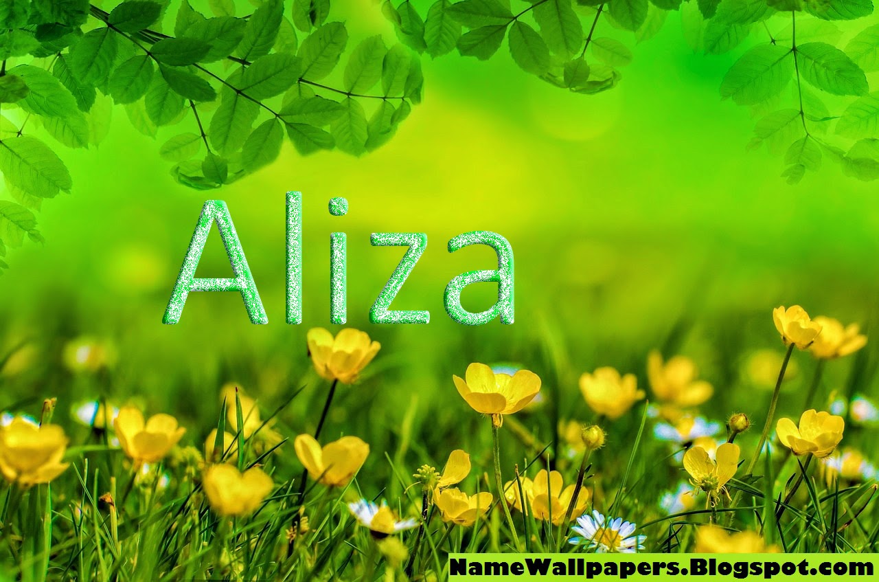 Aliza Name Wallpapers Aliza ~ Name Wallpaper Urdu Name Meaning Name ...