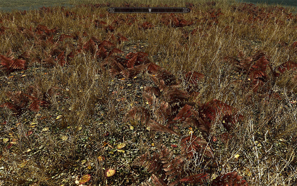 Hoddminir Mod Development: Skyrim - Image Library of Textures with 3D grass