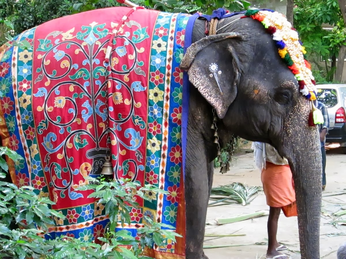 Visit to an Elephant - ARUNACHALA GRACE
