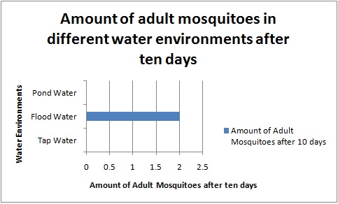 Boss's biology blog: Effect of flood on Mosquito population and its ...