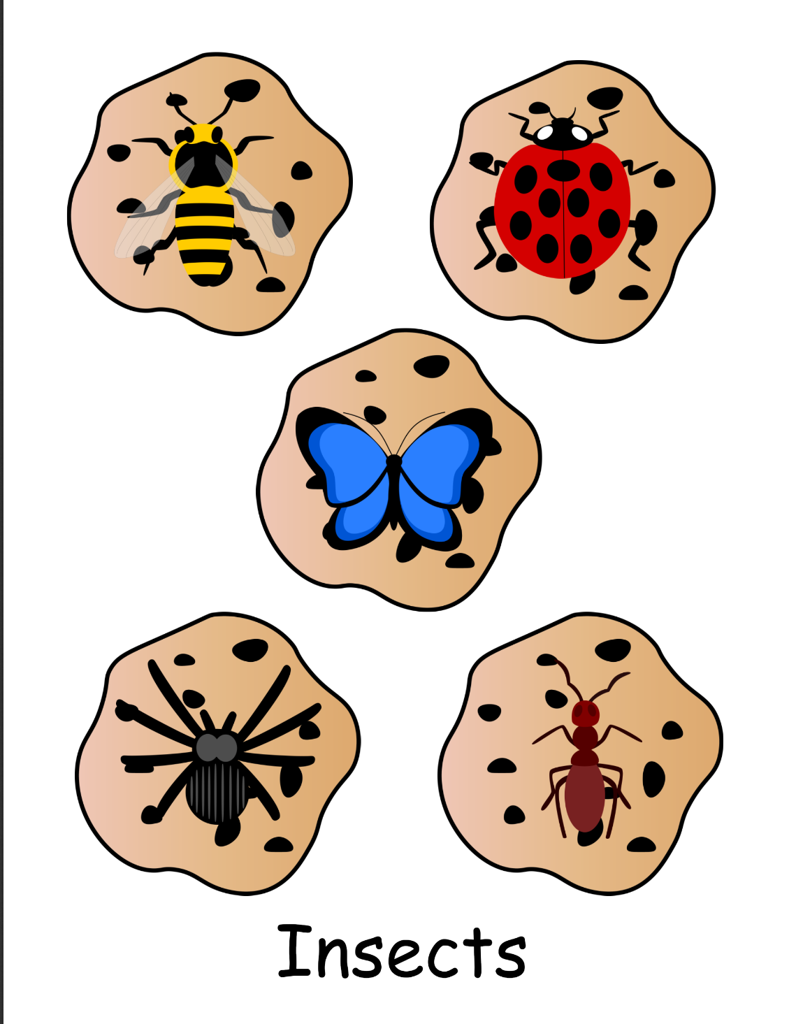 Speech Worthy Fun Cookie Categories For Teaching Core Vocabulary And speech-worthy-fun-cookie-categories-for-teaching-core-vocabulary-and