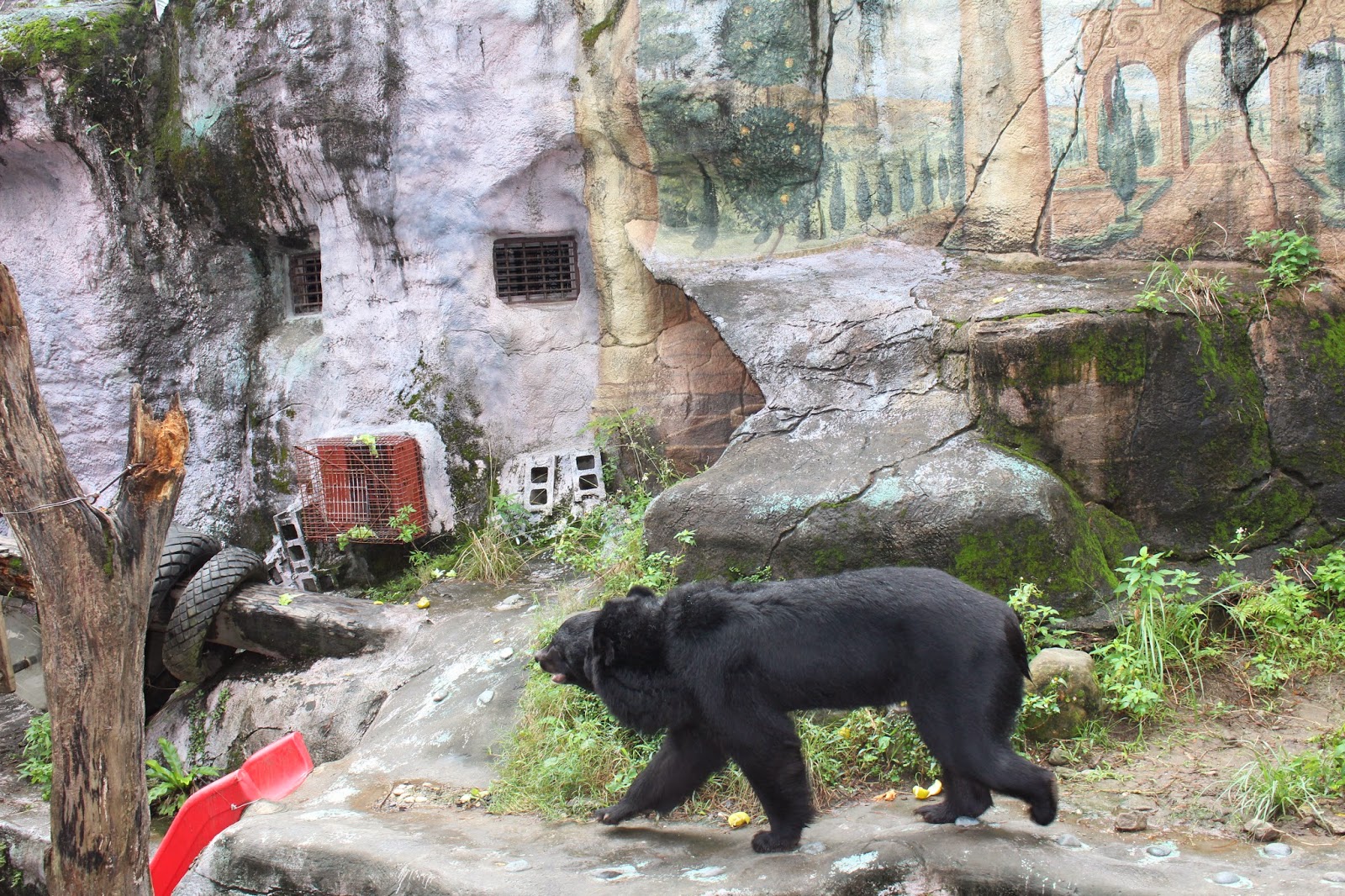 Amazing Taiwan - Day 3 (Taipei Zoo-Mao Kong Gondola)