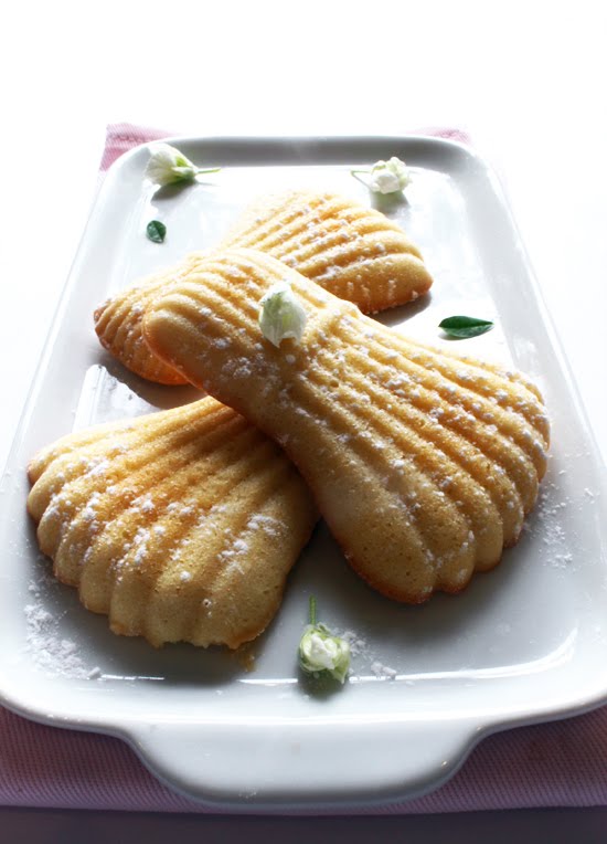 Virginia Sar: Madeleines de Miel