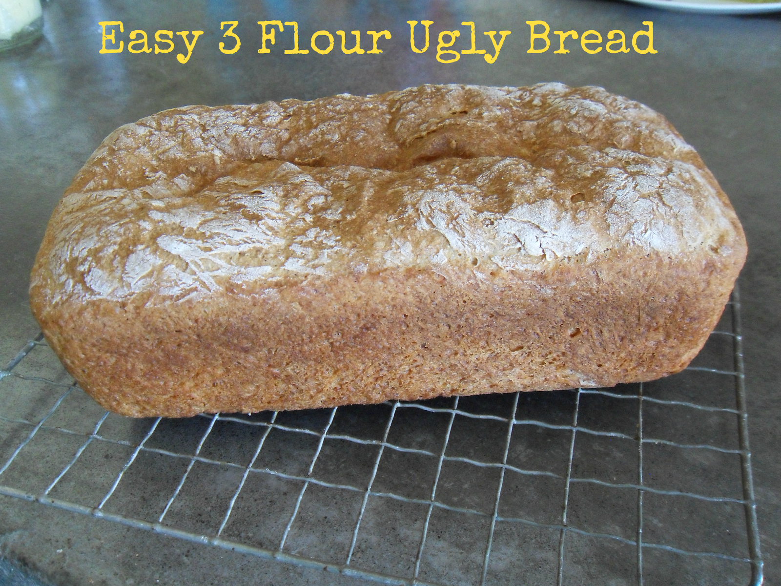 Hill House Homestead: Easy 3 Flour Ugly Bread