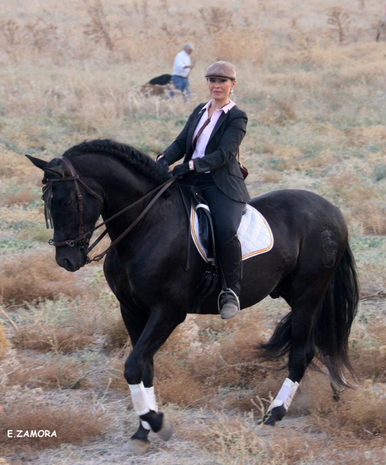 ANDALUSIANS DE CALDERON
