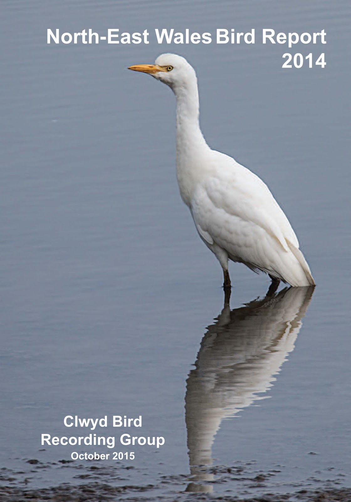 We Bird North Wales: North-East Wales bird report (2014)