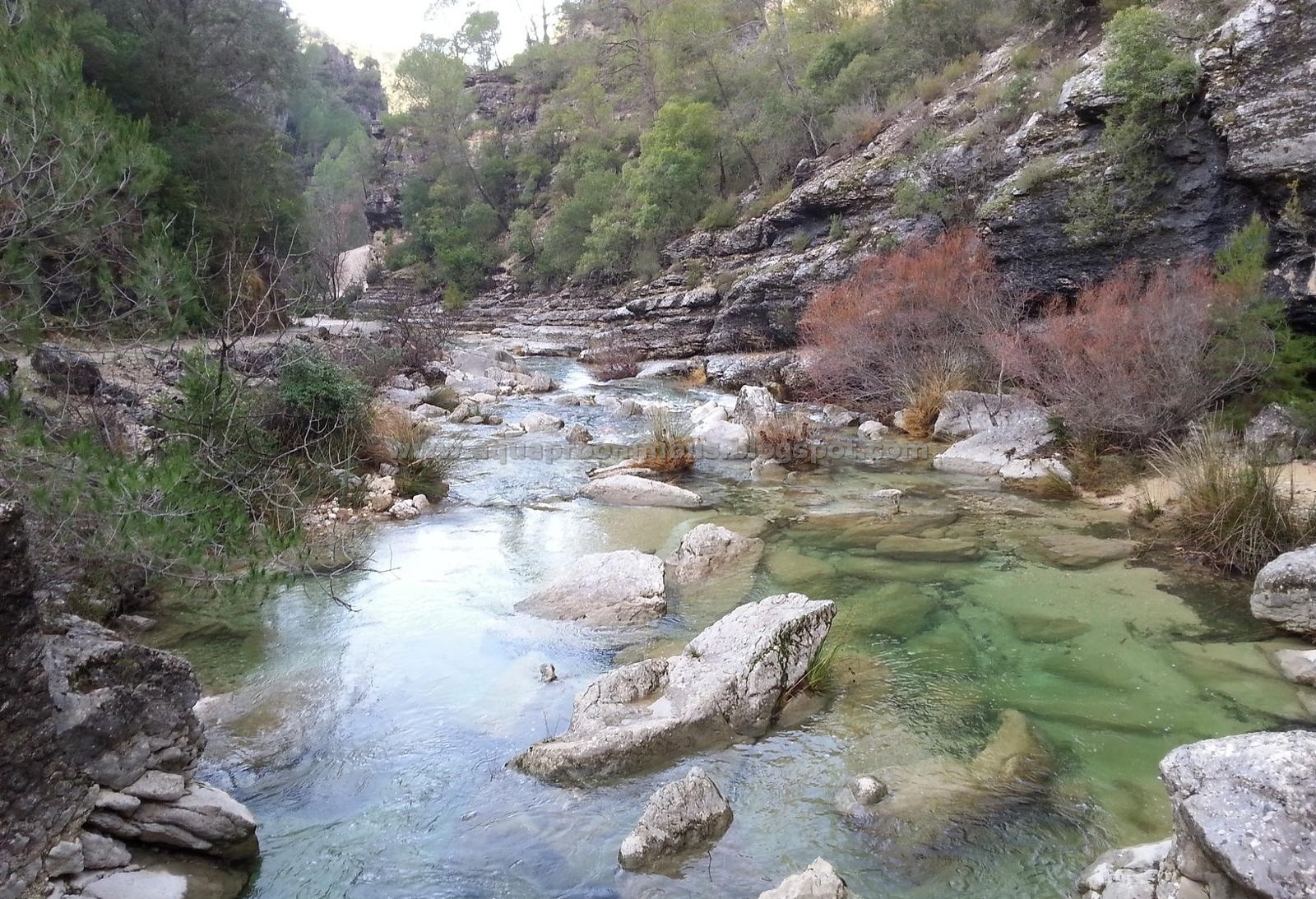 Pozas - Aqua pro Omnibus